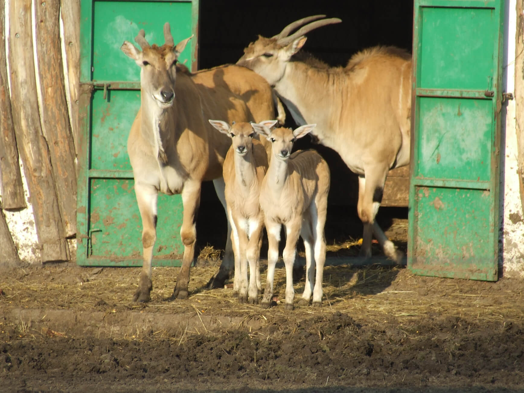 Zoološki vrt - Visit Subotica