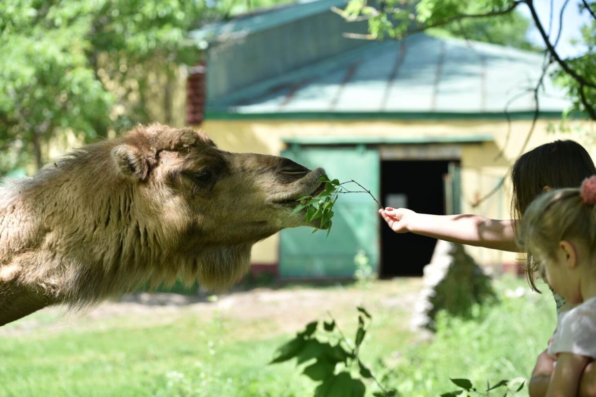 Zoološki vrt - Visit Subotica