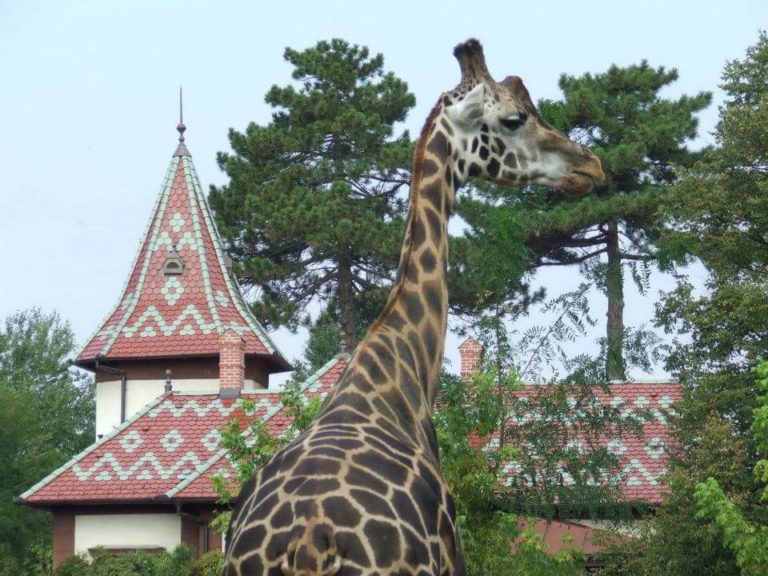 Zoološki vrt - Visit Subotica