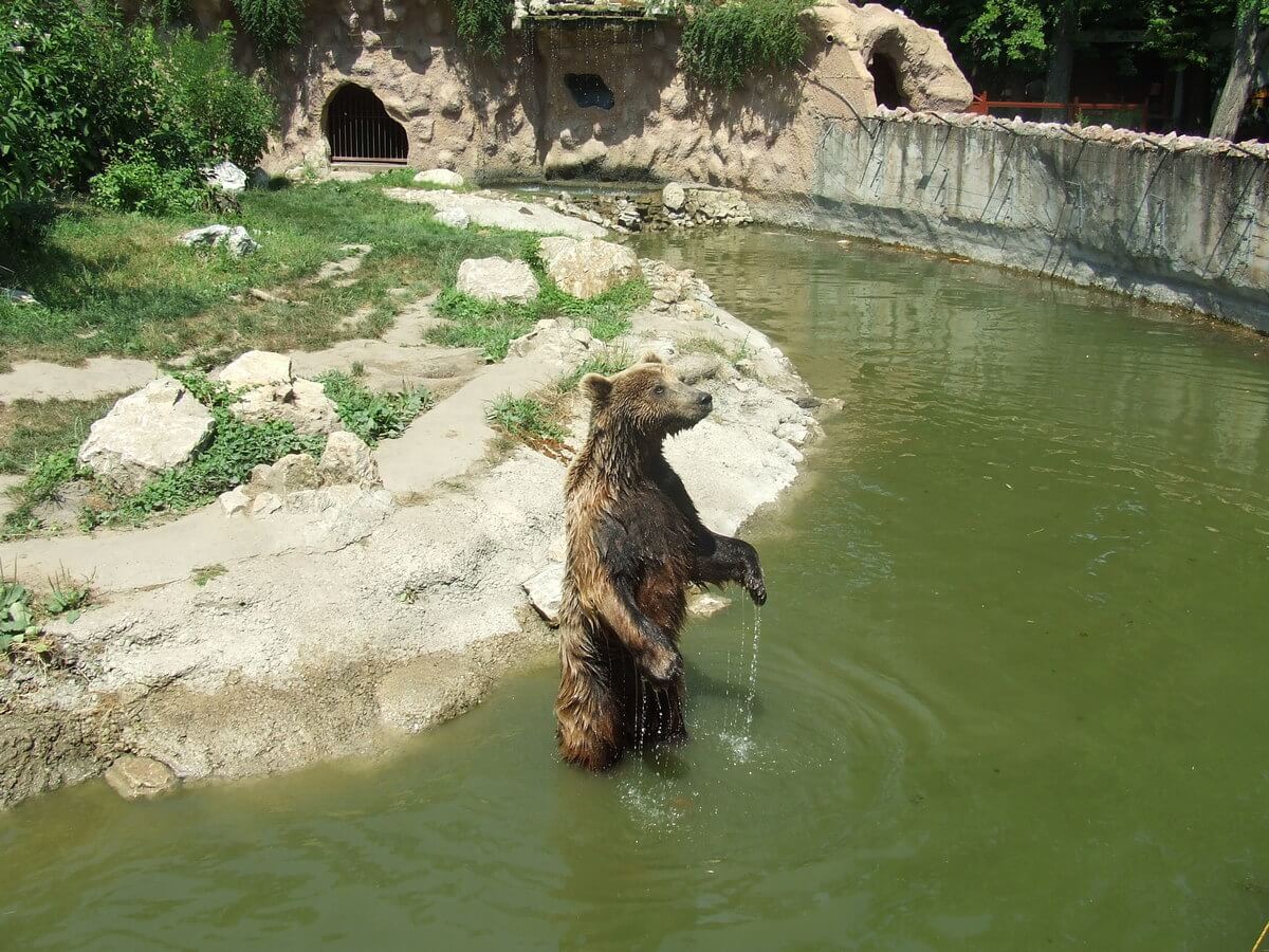 Zoološki vrt - Visit Subotica
